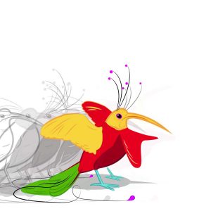 Handbook of Bird Biology Media Library | Bird Academy • The Cornell Lab