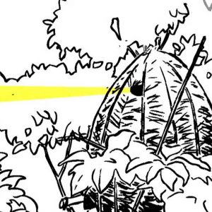 Birding From Birth, Now an Ornithologist | Bird Academy • The Cornell Lab