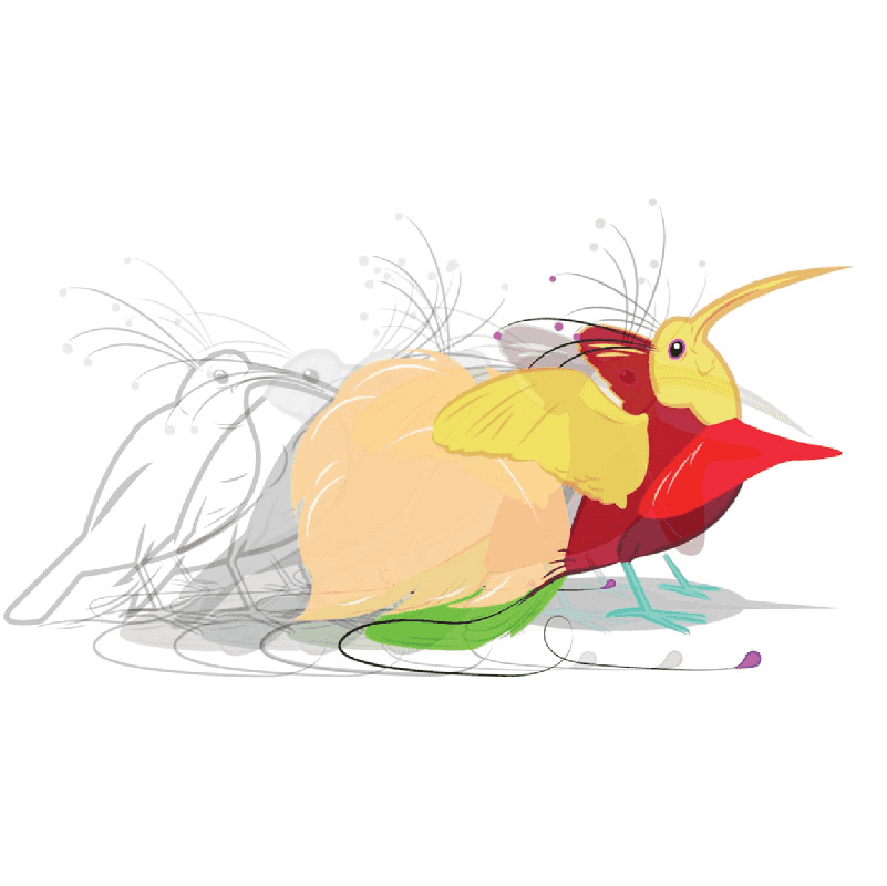 Handbook of Bird Biology Media Library | Bird Academy • The Cornell Lab