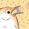Anatomy of Bird Song Slides | Bird Academy • The Cornell Lab