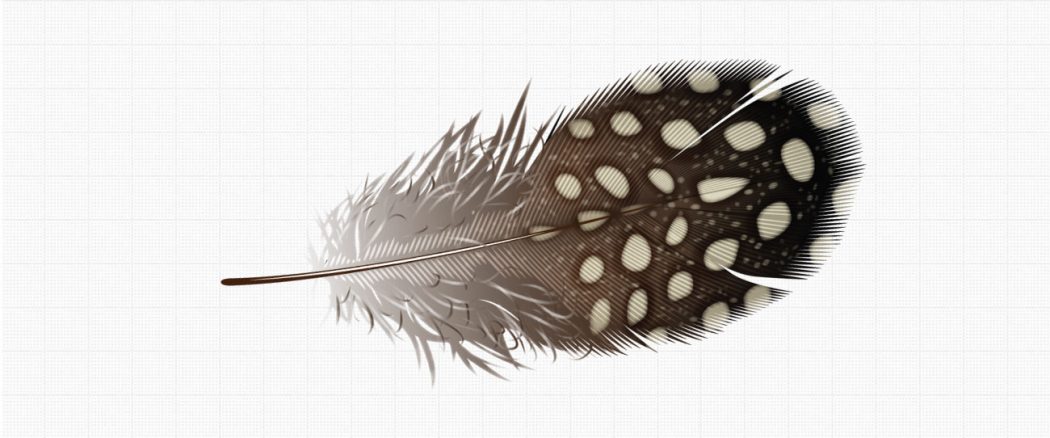 barbule | Bird Academy • The Cornell LabBird Academy • The Cornell Lab