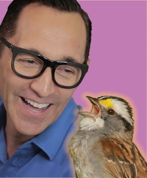 Macaulay Library | Bird Academy • The Cornell LabBird Academy • The ...